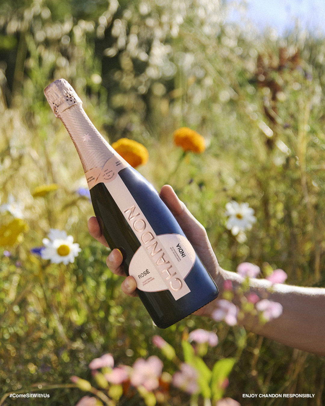 CELEBRATE VALENTINE'S DAY IN SPARKLING STYLE WITH CHANDON ROSÉ | iCraze